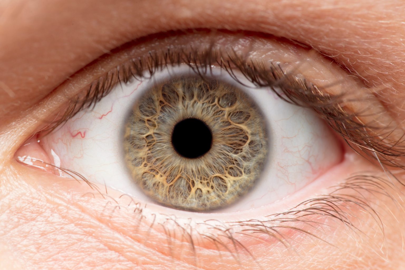 Southern Border of Your Cornea - Ideal Eye Surgery